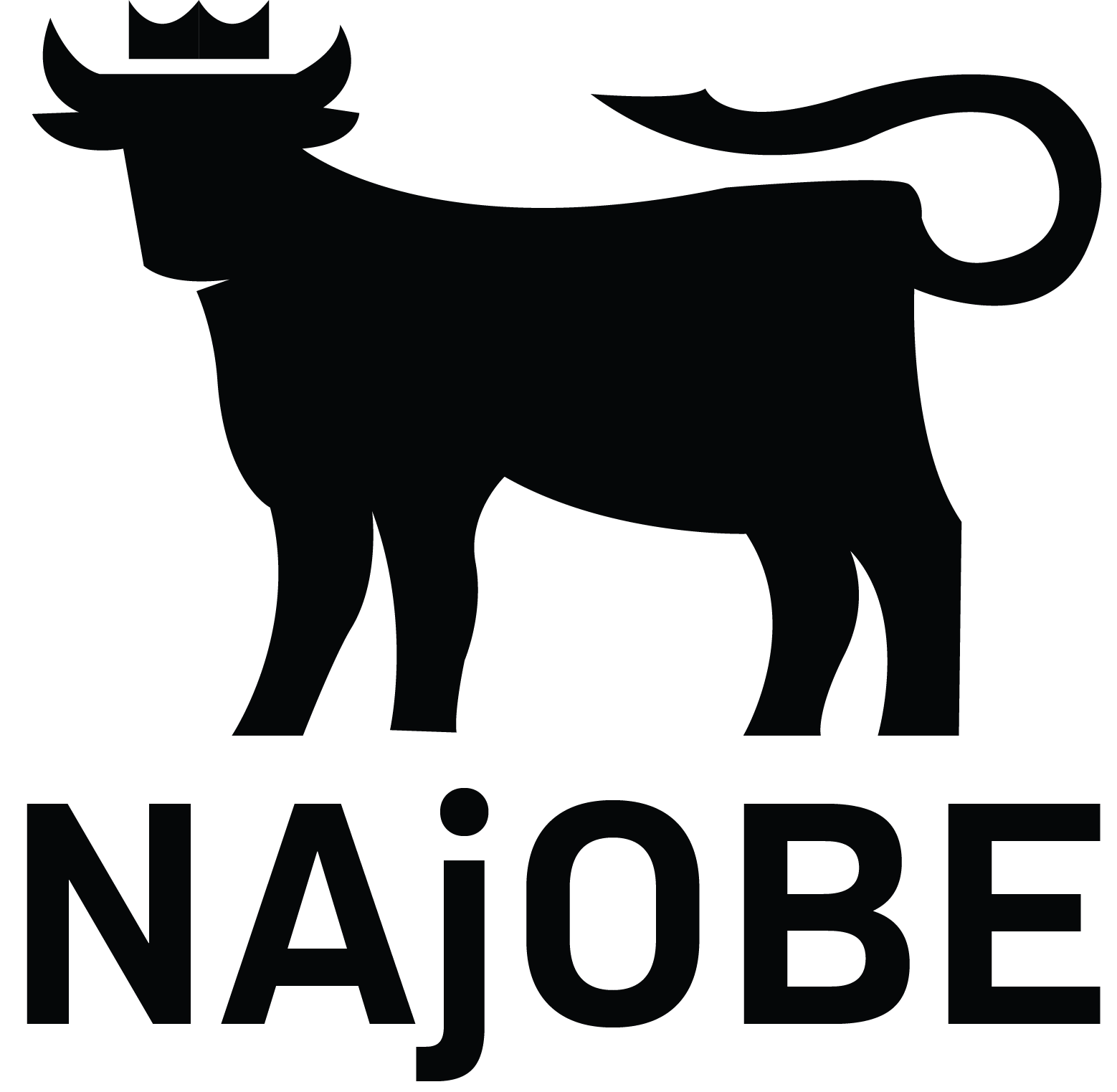 Najobe – NAjOBE